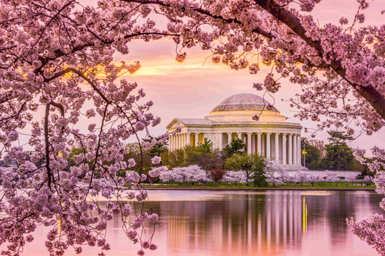 Washington Cherry Blossom 4-Day Tour – Tan Voyages